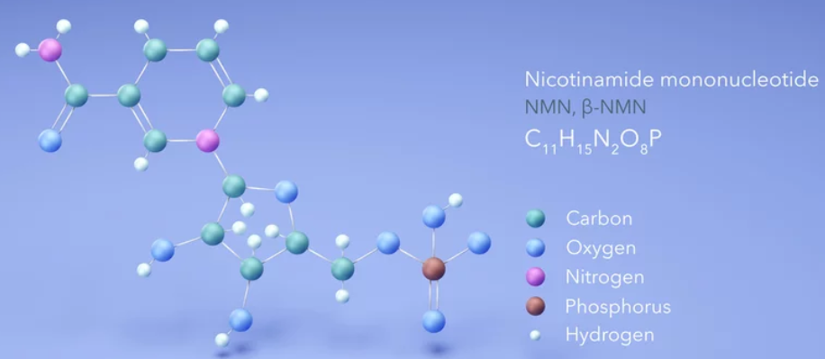 Nicotinamide Mononucleotide (NMN): Unveiling the Effects from Users | by Mohammed Saiful Alam ...