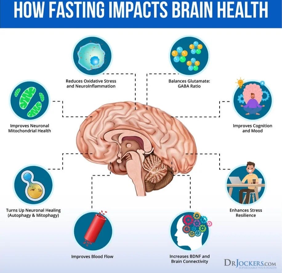 The brain likes you to be hungry. Being hungry makes you react faster ...