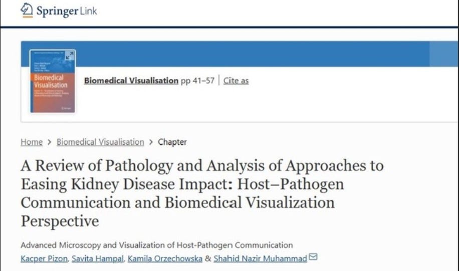 Springer Chapter Publication (2023) | by ZtormLabostix | Medium