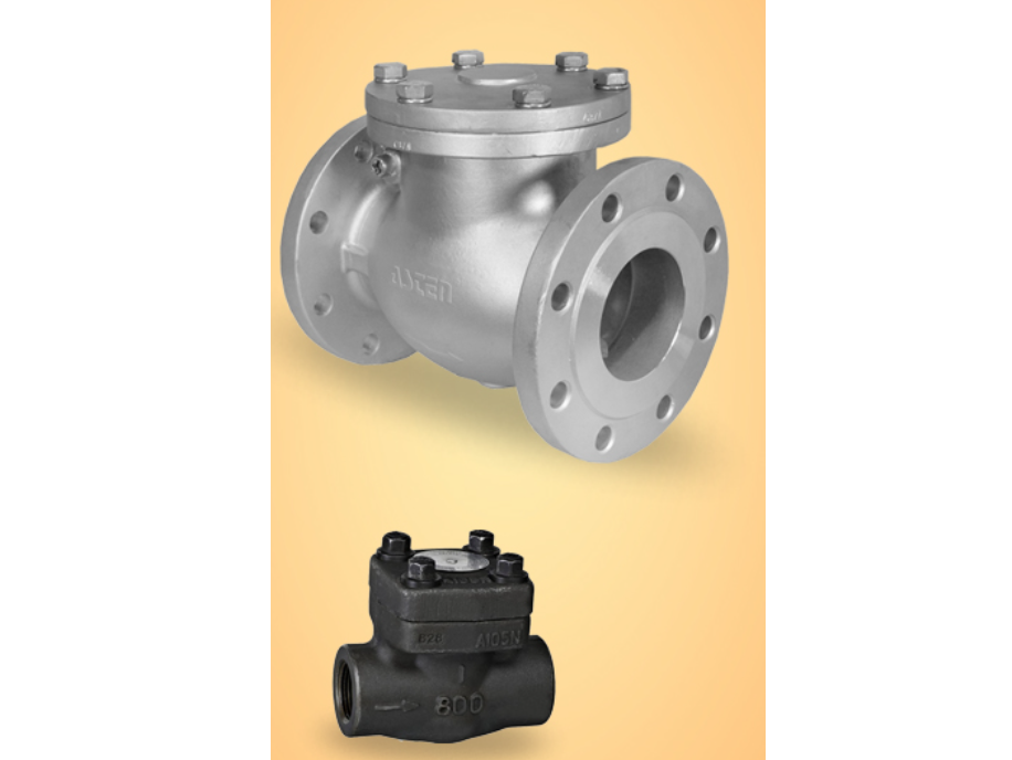 Swing Check Valve Manufacturer, Supplier & Exporter - asten controls ...