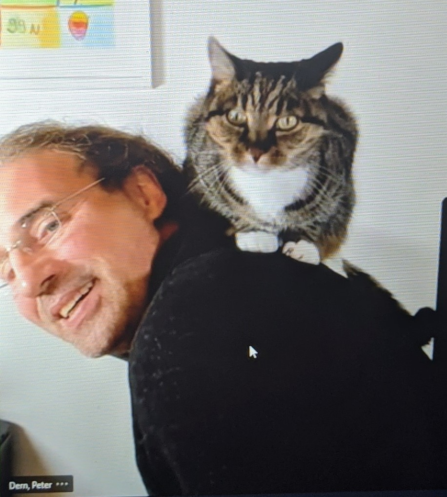 About Me — Peter Dern. Trading Boardrooms for Bookshelves: My… | by Peter Dern | About Me ...