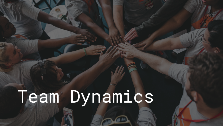 Team Dynamics: Behind the Product | by Wilson Hadi | bisaGo2020 | Medium