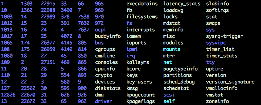 Why the /proc is cool— and how to use Python to hack virtual memory | by Thomas Graeff | Medium