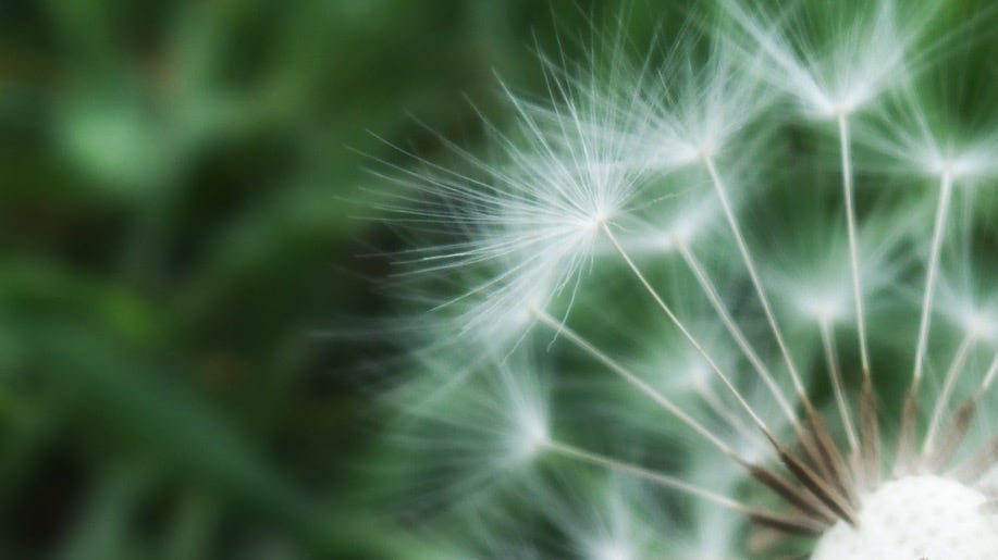 Restless to Resilient 3: Accept Your Desires | by Ebony Smith | Medium