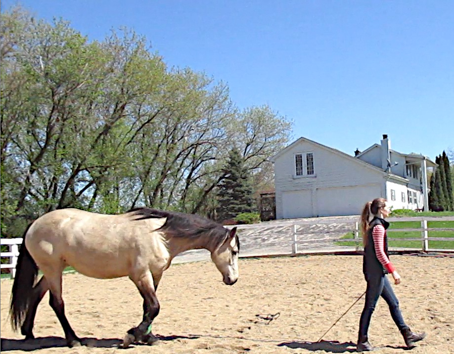 Love Him or Hate Him — Churchill Had Curious Thoughts About Horses | by Elle M. Athens ...