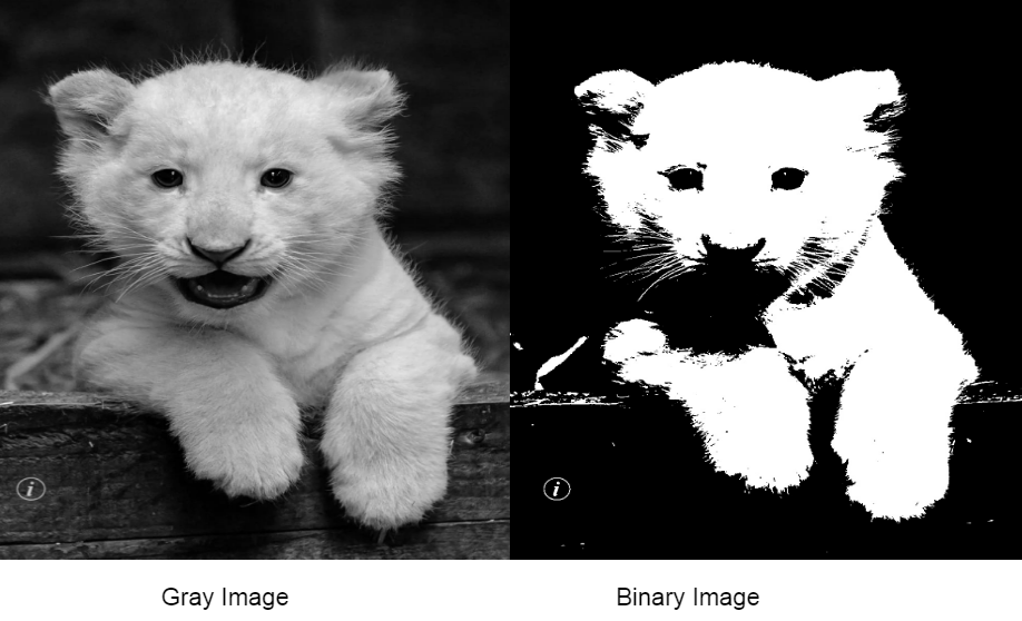 Manipulating Images using Python and R | by Lakshman Kanakala | Medium