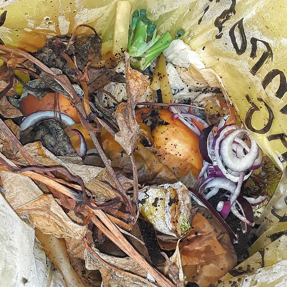 Food waste burdens the Earth’s atmosphere. The solution is easy. | by ...