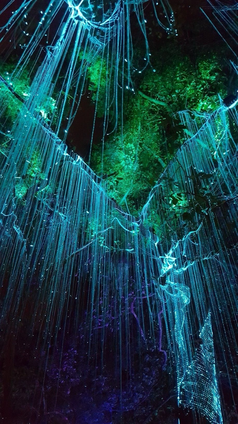Art That Grows from Nature: A Journey into Living, Breathing ...