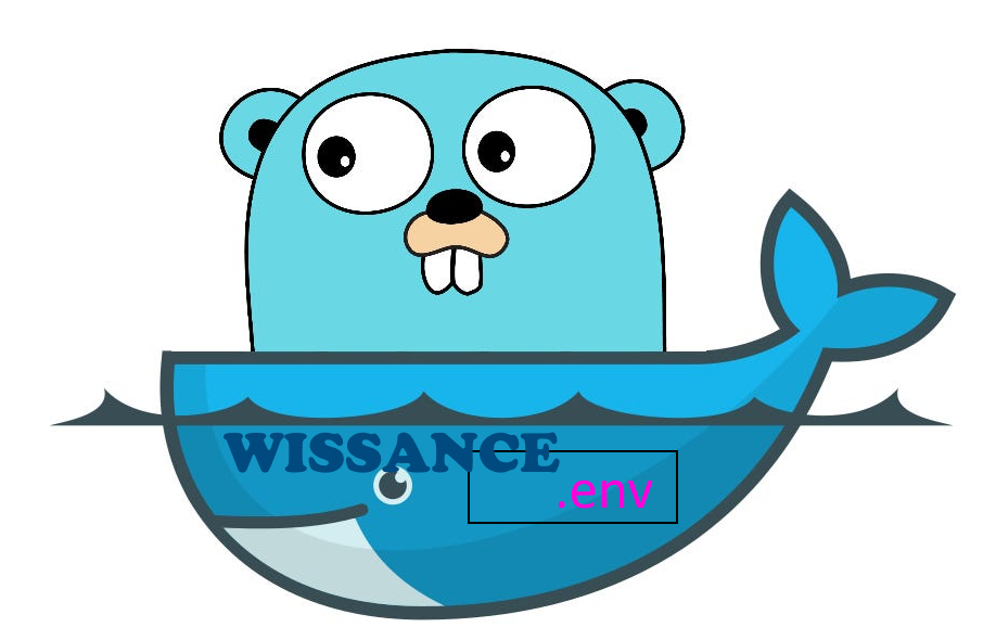 Override Go app configuration with Environment variable | by Michael Ushakov | Medium