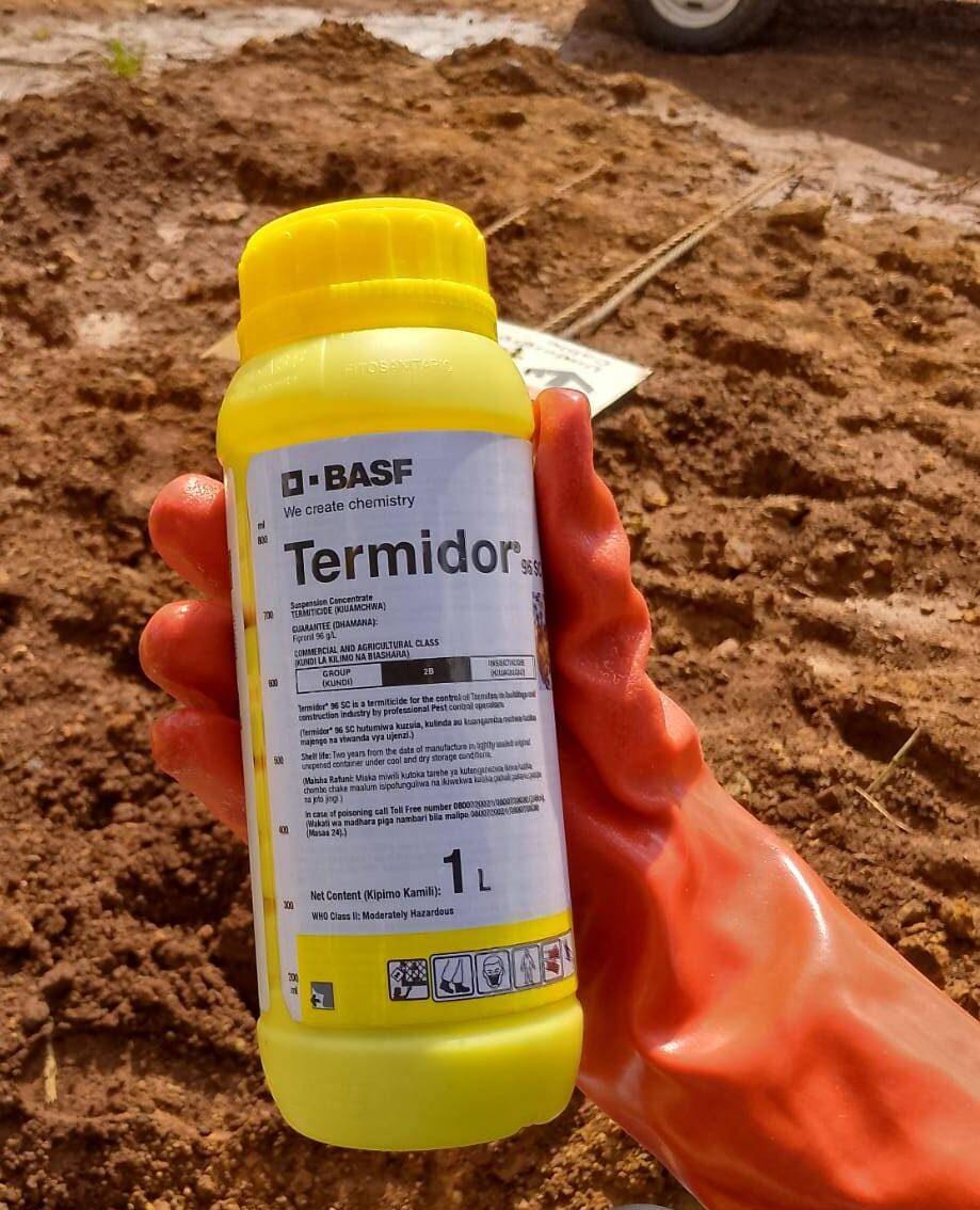 The Ultimate King of Termite Treatment | by PEST FLASH Fumigation ...