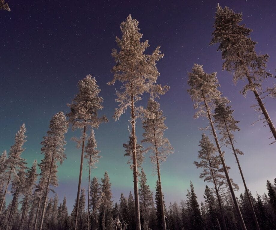 15 magical places to experience a Winter wonderland | by Travel View ...