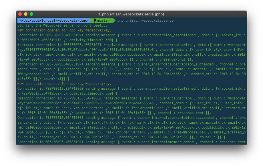 Introducing laravel-websockets, an easy to use WebSocket server ...