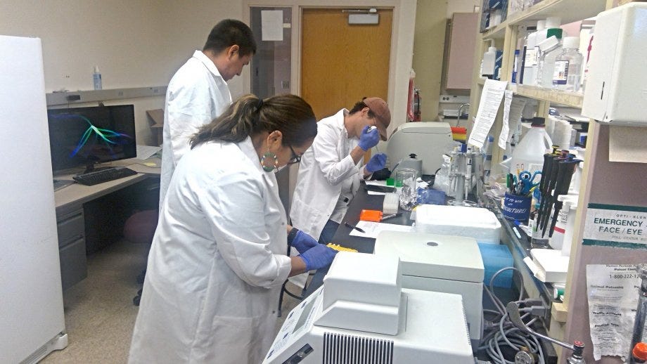 Essential Tips for Picking Your Laboratory Equipment | by Ziebaq ...