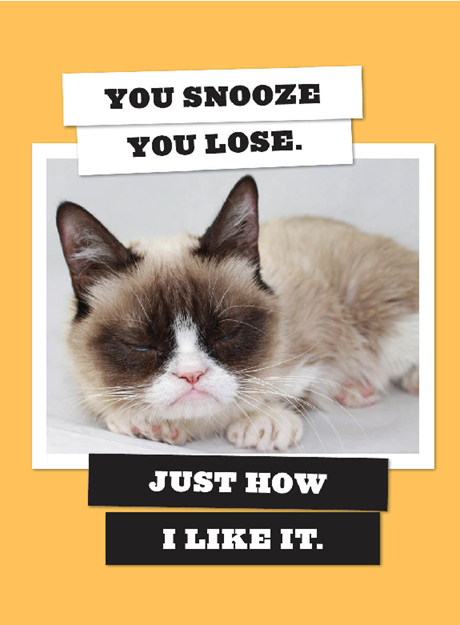 Grumpy Cat Coworkers