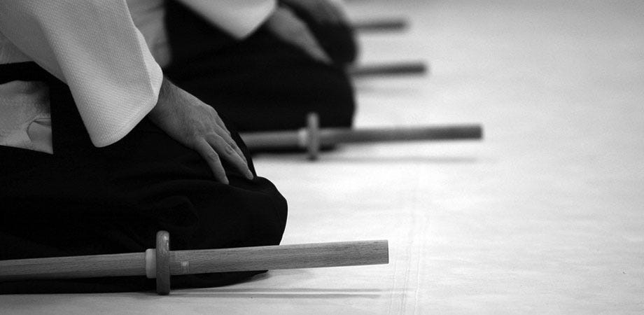 Aikido: uma nova jornada de pai e filha | by Leonardo Camacho | Medium