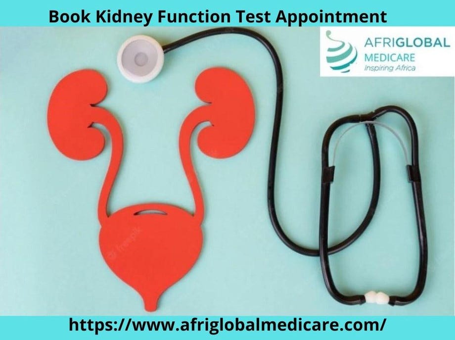 Kidney Function Test - Afriglobal - Medium
