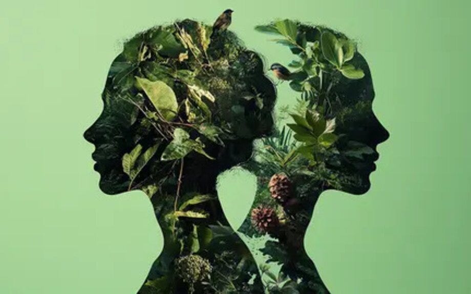 The Collapse Chronicle June 28 - David Ferraro - Medium