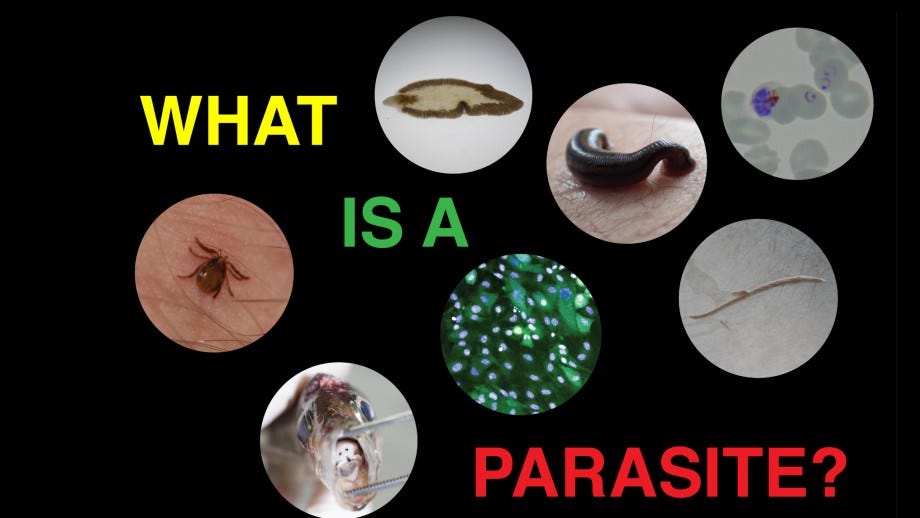 Natural Treatments for Parasites - Victor Țan - Medium