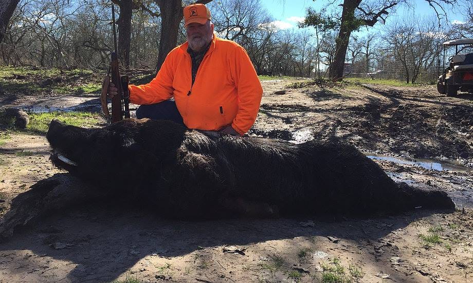 How Grasping Laws Can Ease Hog Hunting In Texas? - INDEPENDENCE RANCH ...