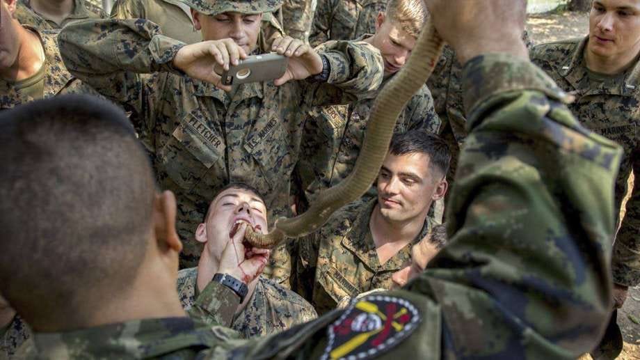 PETA is Right; Marines Should Stop Drinking Snake Blood | by Evan Weiss ...