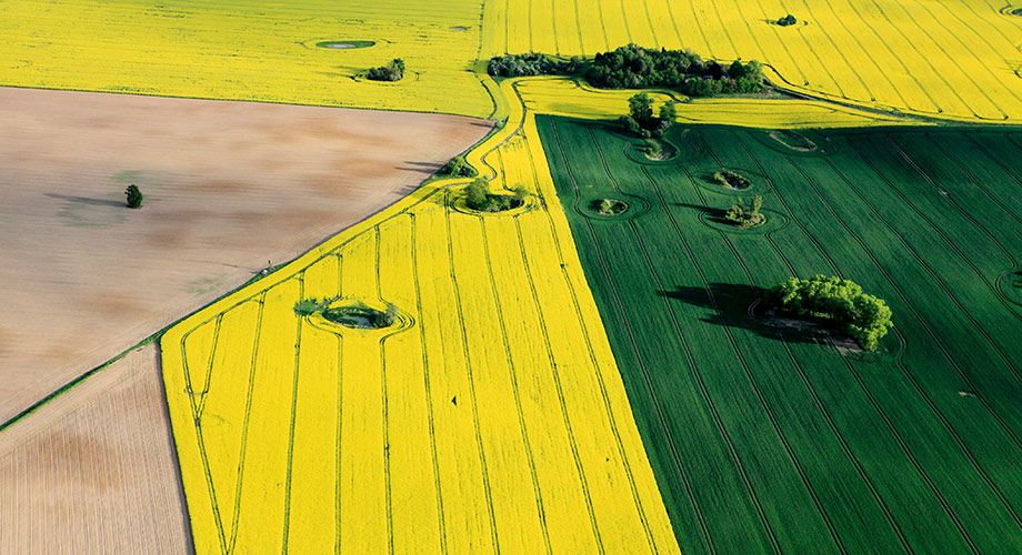 Most Active Large Agribusiness Corporations In The AgTech Domain | by ...
