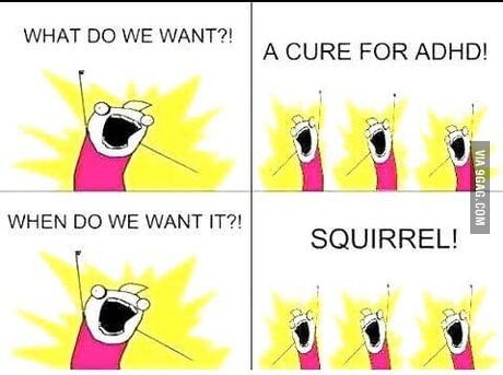 Squirrel Adhd Meme
