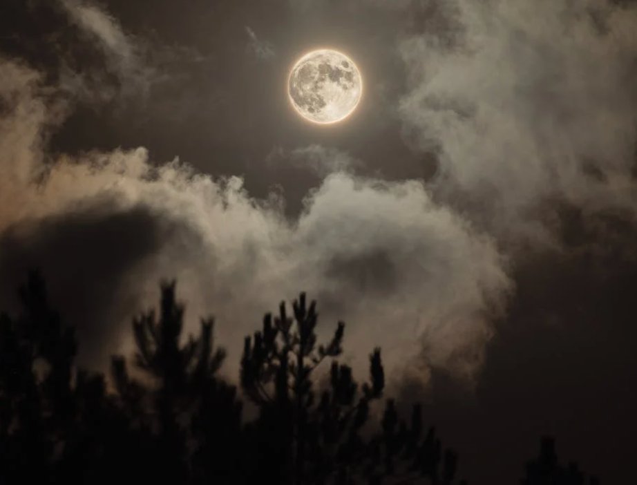 Why does the Moon Sing?. “The darkened silhouette will sing: | by Hakim ...
