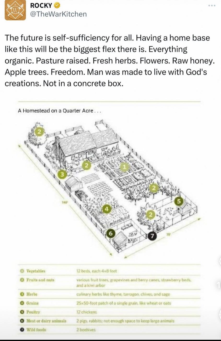 Homesteading with Reality. In today’s world, where environmental… | by ...