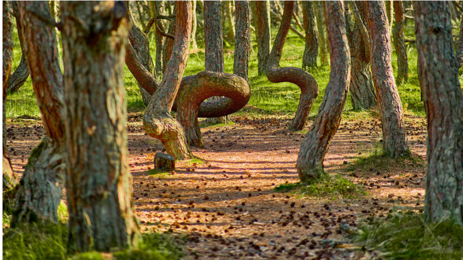 The Mysteries of Our World: Natural Wonders that Defy Explanation | by ...