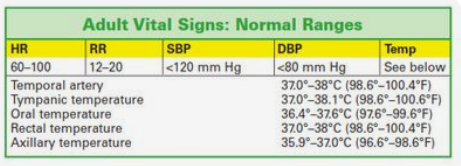 Vital Signs Chart Nursing