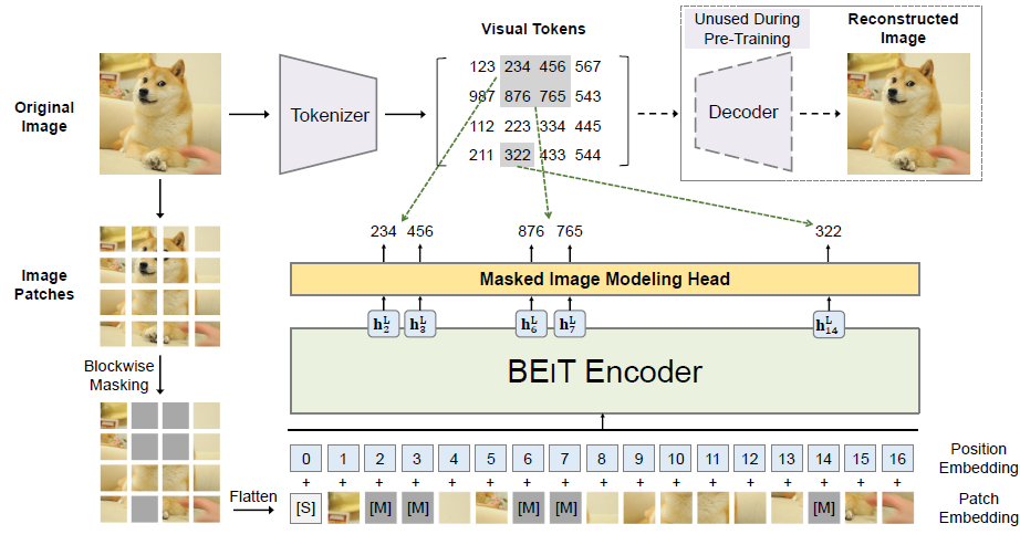 Review — BEiT: BERT Pre-Training of Image Transformers | by Sik-Ho ...