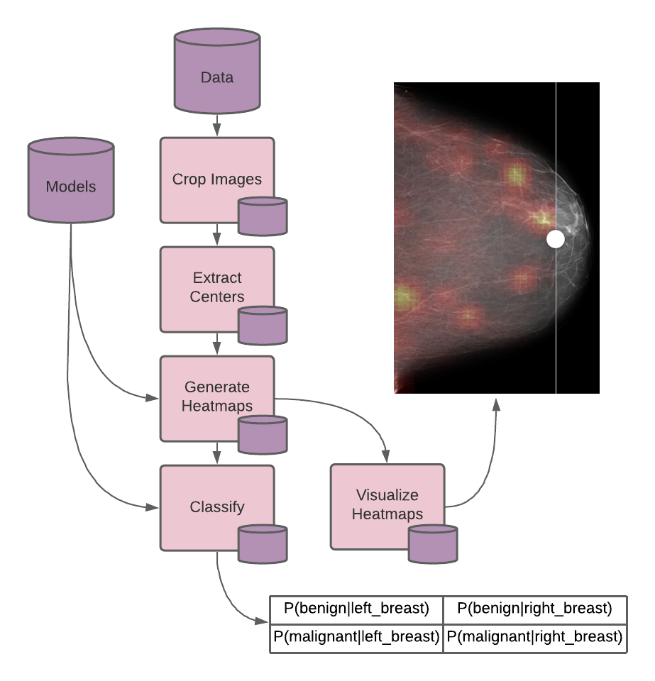 Scaling Breast Cancer Detection with Pachyderm | by Jimmy Whitaker ...