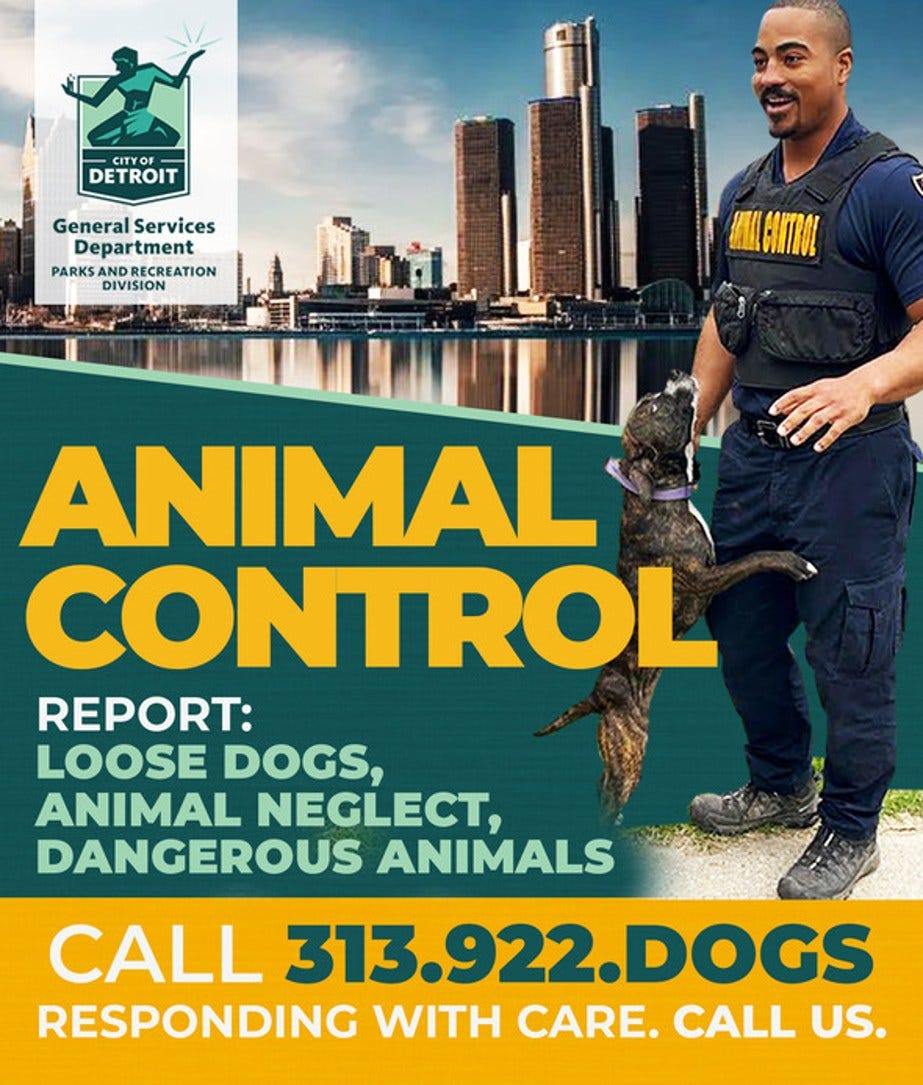 Contact Animal Control For Loose Dogs, Animal Neglect, And Dangerous ...