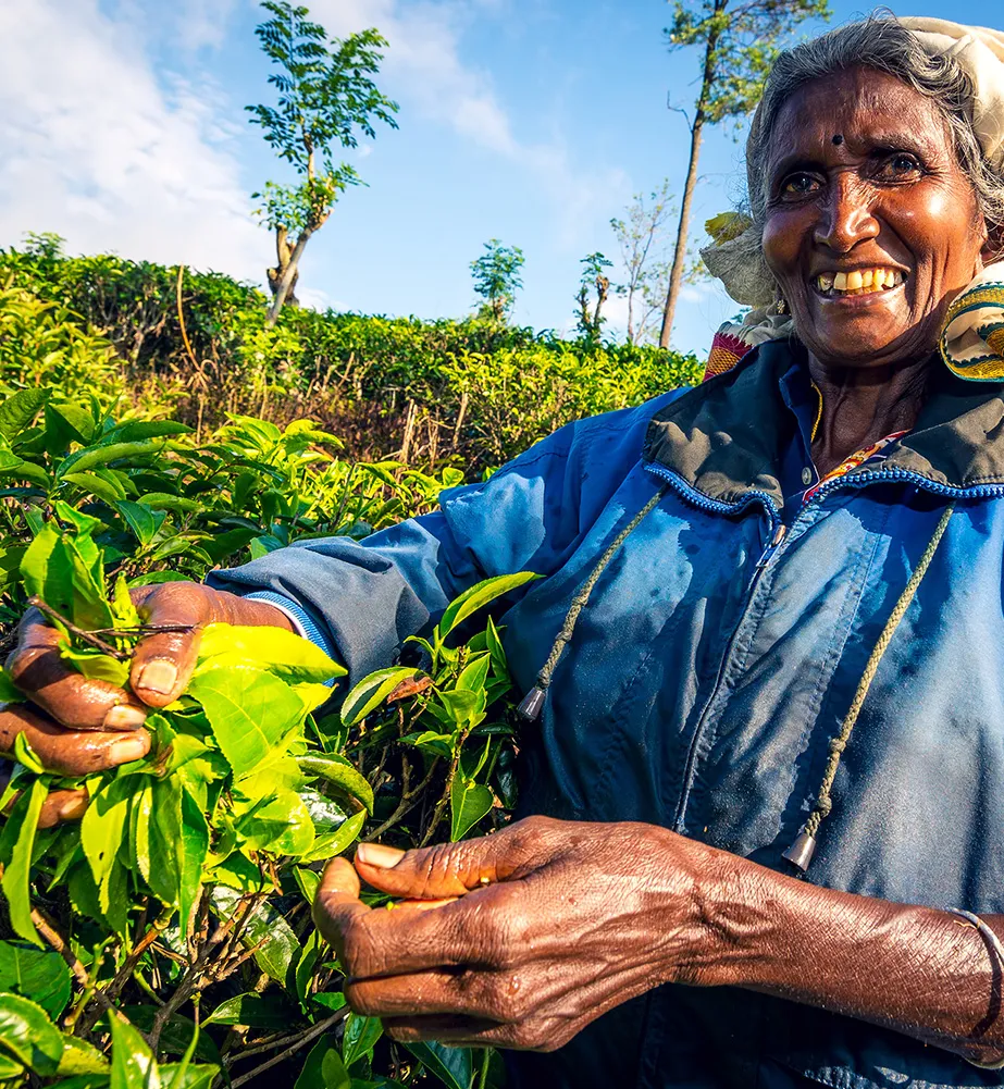 Bio Fungicides in tamilnadu- Trishul Biotech | by Trishulbiotech | Medium
