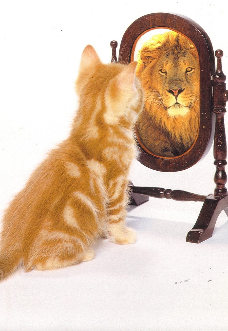 Decoding Self-Confidence. I have always intuitively known that a… | by ...