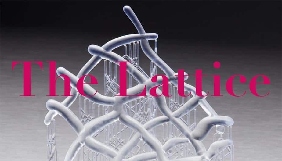 The Lattice Issue 24: December 23rd, 2019 | by 3DHEALS | 3DHEALS ...