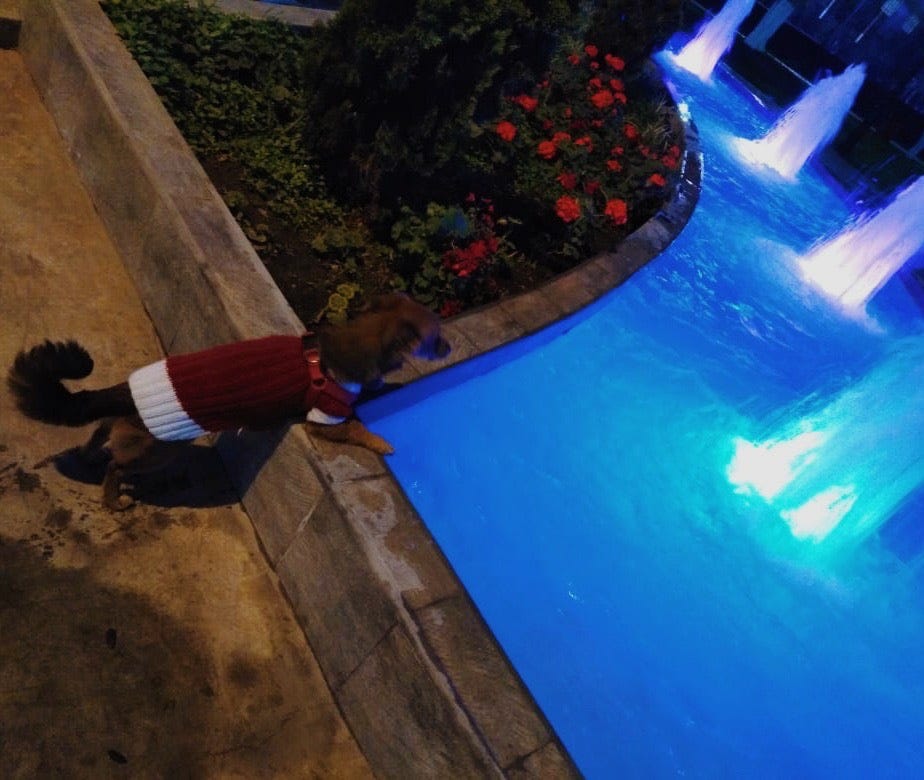 Lik’s Photoshoot | by Angelica Rubi Allison Sanchez Barreto | Medium