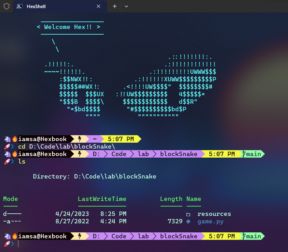 The Fantasy Terminal. Customize your command line interface… | by Sanyam Goel | Medium