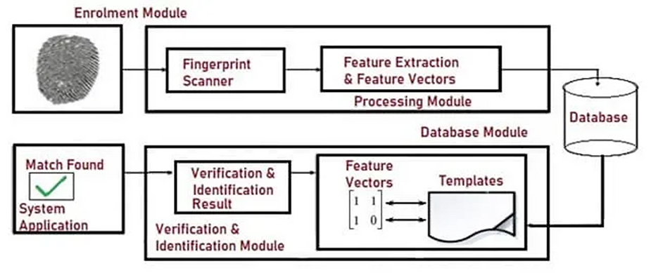 Automated Fingerprint Identification System Afis By Copperpod Ip Medium