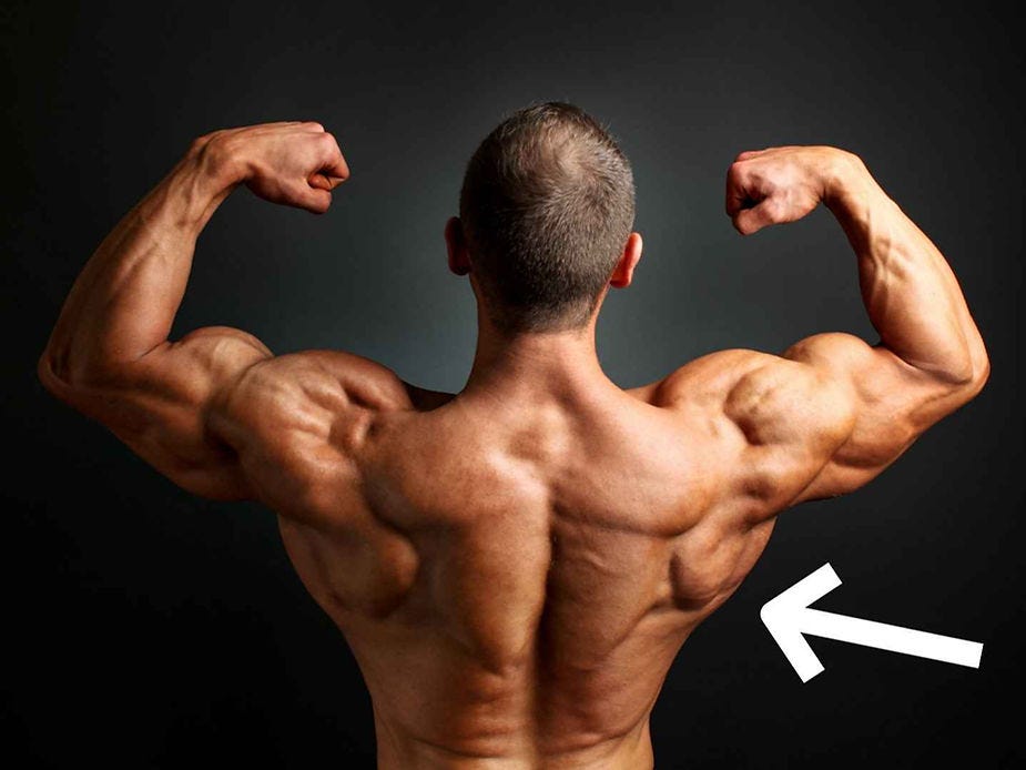 Struggling to Build Muscle in Your Back? Here’s Why. | by Tony Lu ...