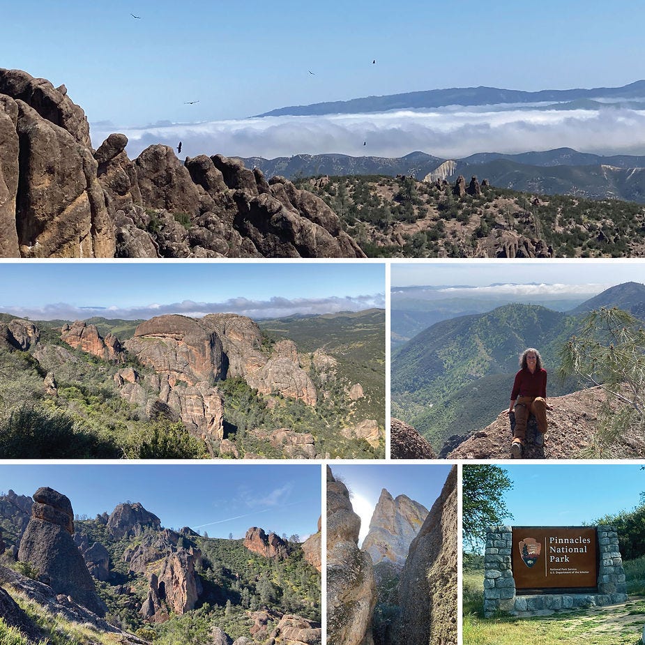 Cambria and Pinnacles National Parks, CA | by Gila Melamed | Medium