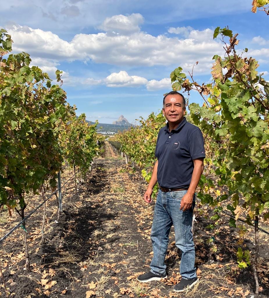 El terroir. El secreto detrás de los grandes vinos | by José Velázquez ...