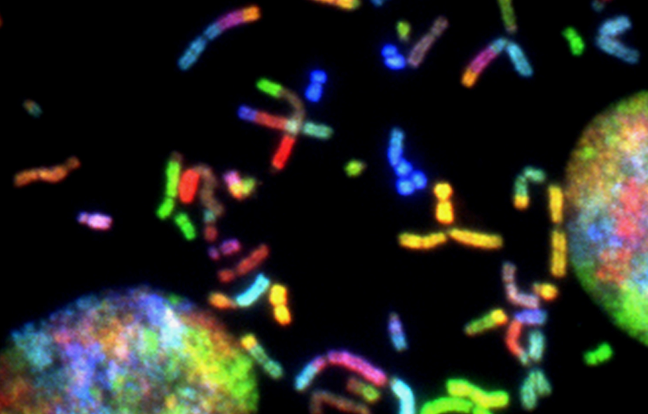 A Simple Genetic Algorithm from Scratch in Python | by Joos Korstanje ...