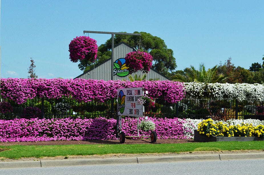 Fruit Tree Nursery. Grow Master Heatherton offers hundreds… | by Grow ...