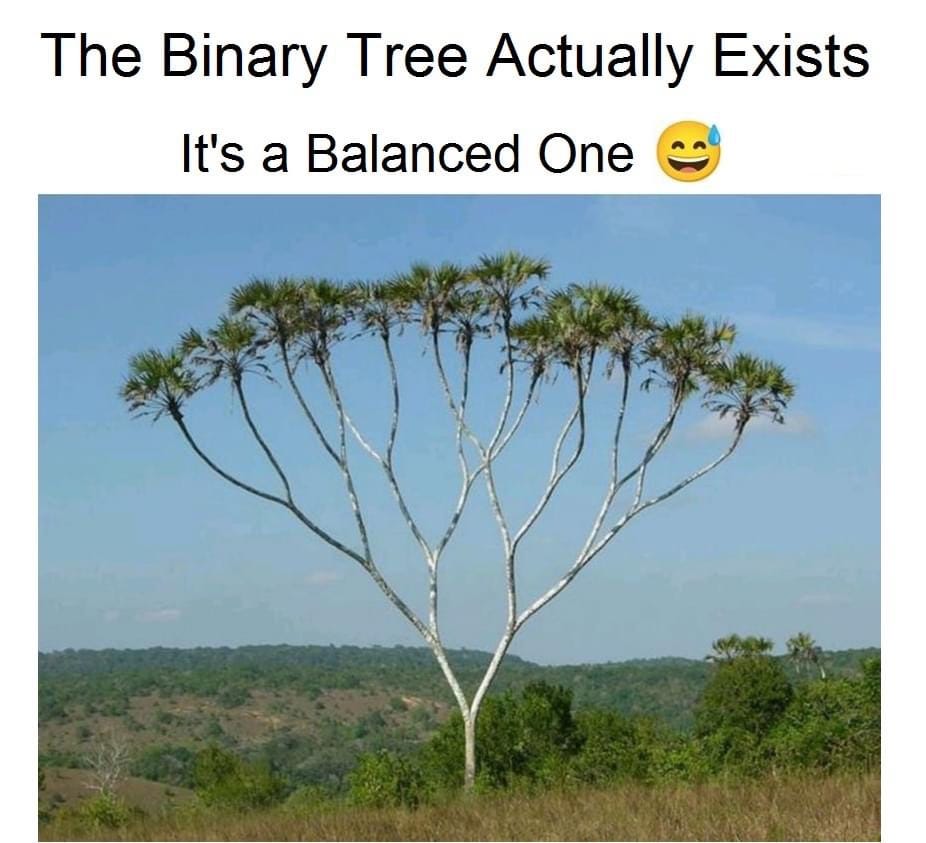 Data structures and algorithms (93-page PDF) | by Chinou Gea | Medium