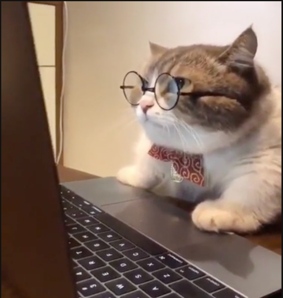 FREE Coding tutorials and resources | by Erica Madebeykin | Medium