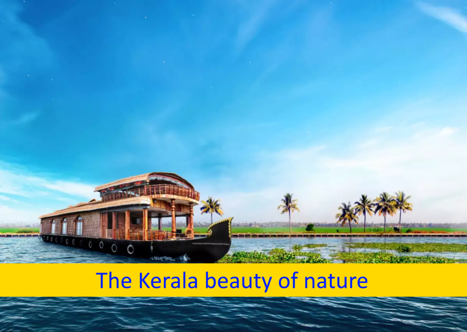 The Kerala beauty of nature. Kerala is a beautiful land of nature… | by ...