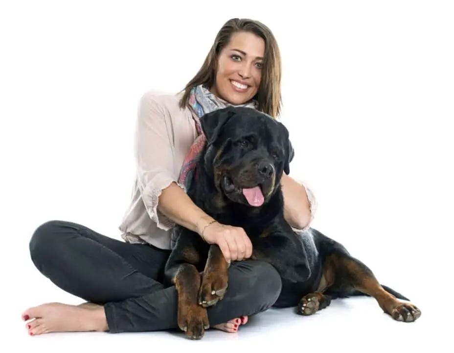 Do Rottweilers Have a Tendency to Pick a Favorite Person? An Easy Guide | by Yourgiantdog | Medium
