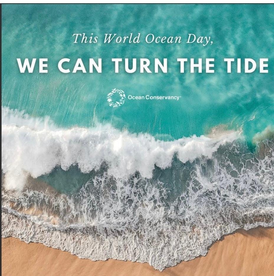 WORLD OCEAN DAY JUNE 8, 2024: GUARDIANS OF THE BLUE | by Julie ...