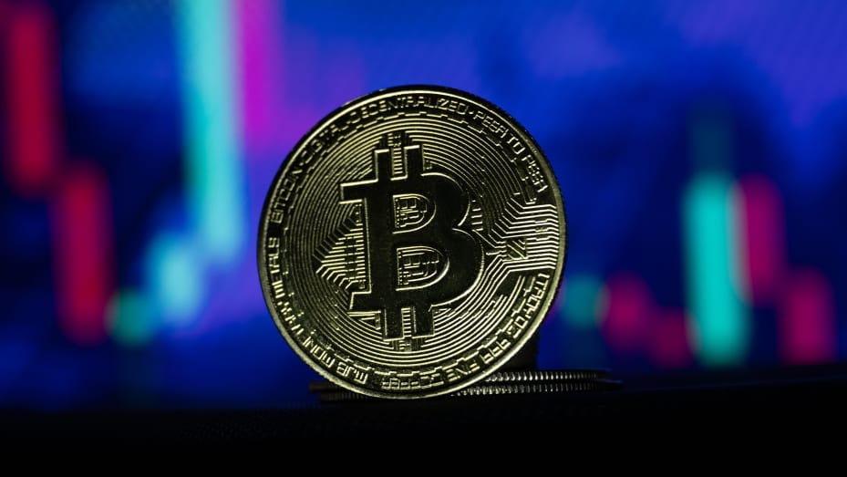 Bitcoin Puppets: Discover the Exciting World of Crypto Toys | by Elite ...